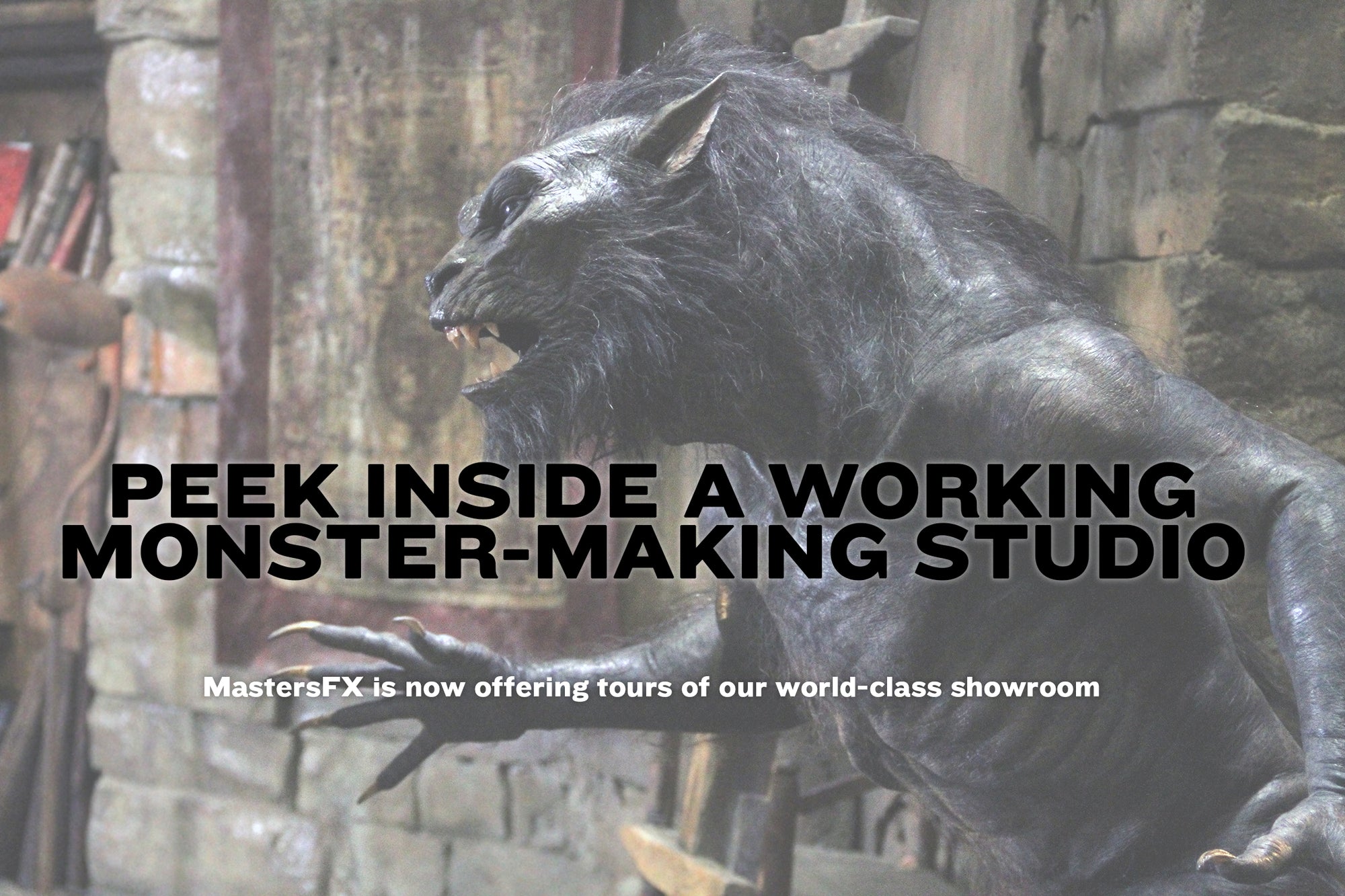MastersFX Monster Museum